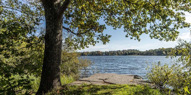 Drevvikens strandpromenad - Stockholms stad